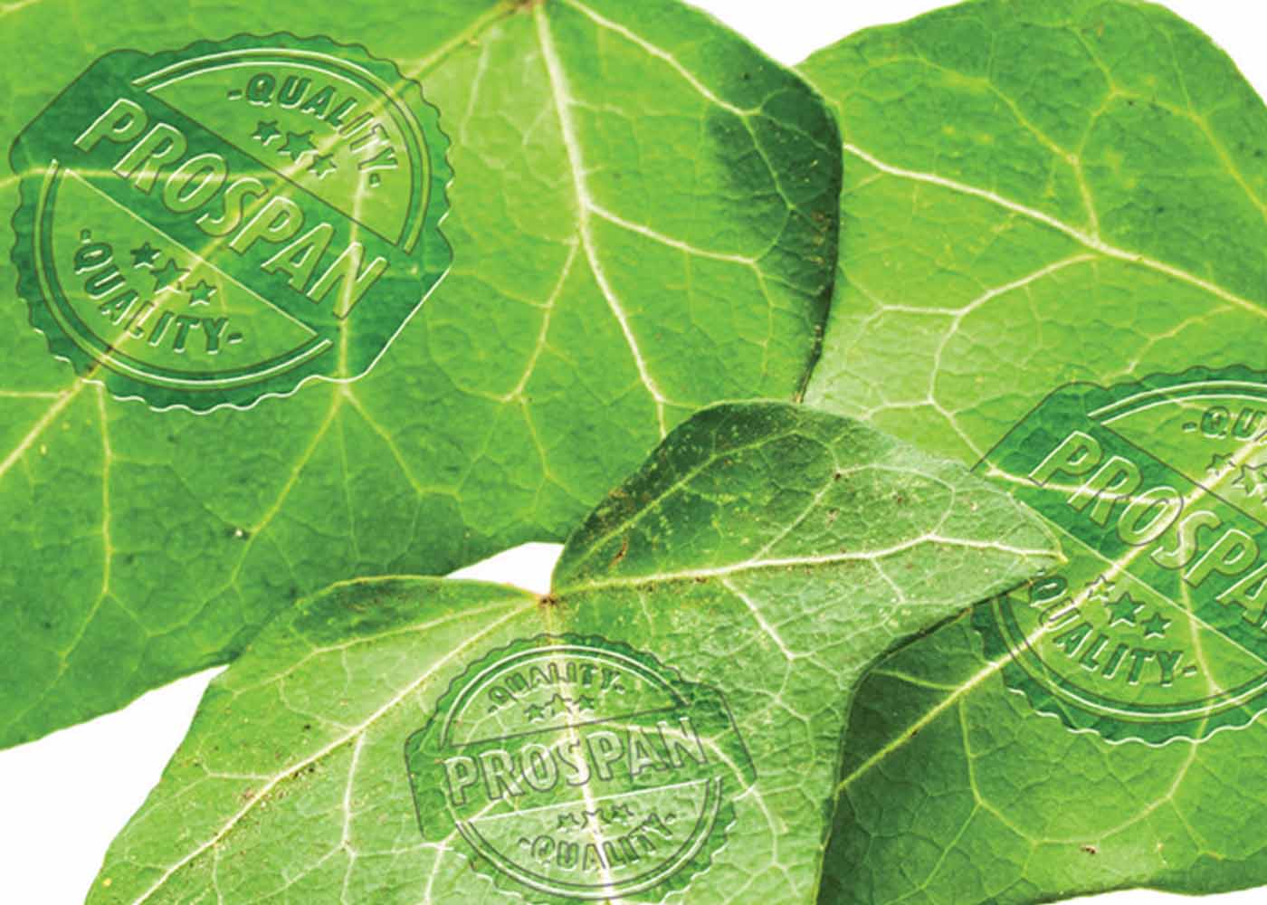 Zašto izabrati original? - Biram zdravlje